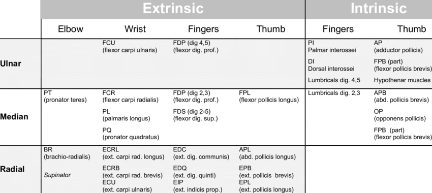 5.19 Flashcards | Memorang