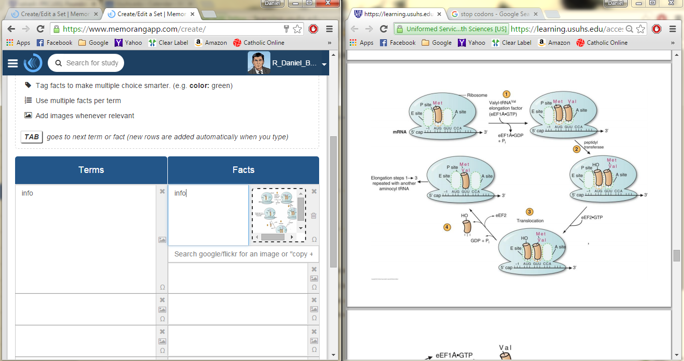 Test Flashcards Memorang