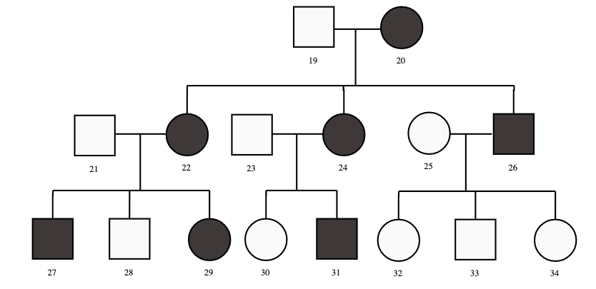 Practice Pedigree Charts Flashcards | Memorang