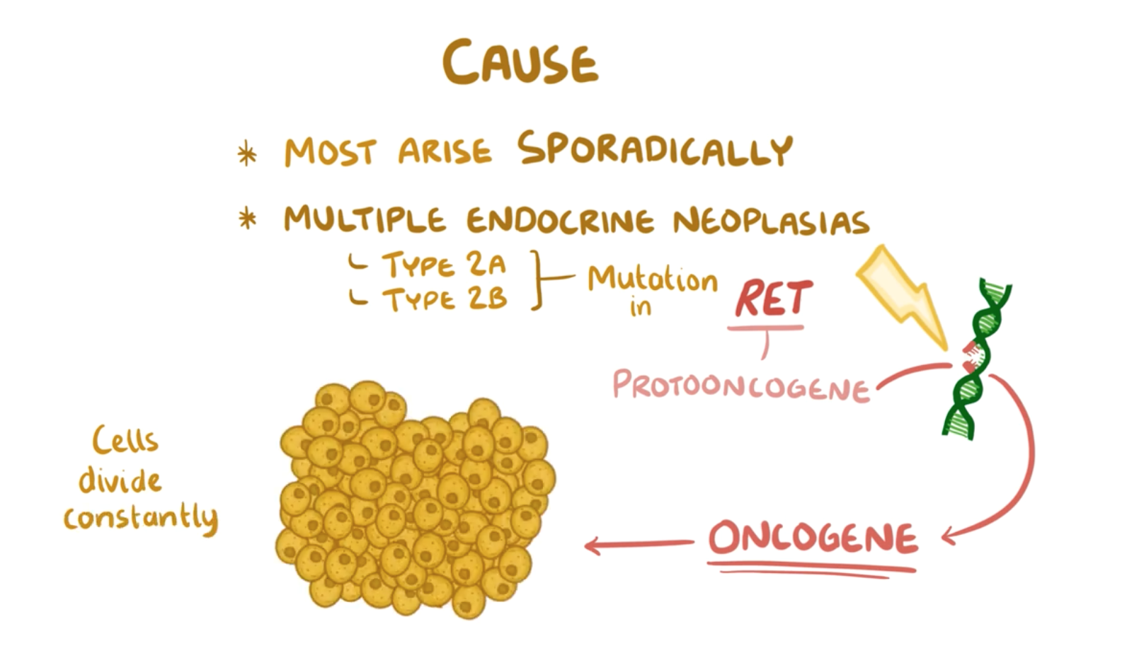 Pheochromocytoma Flashcards Memorang