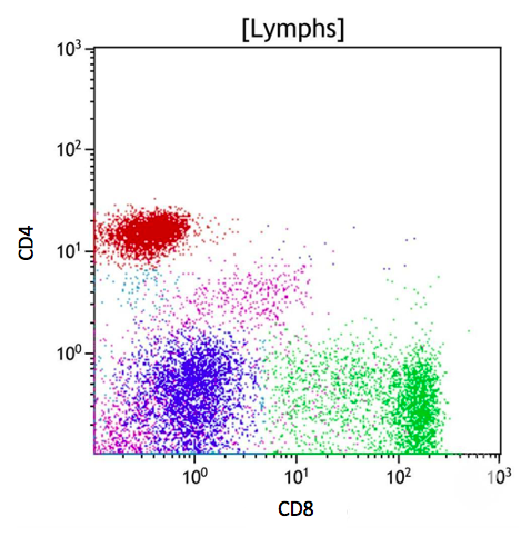 Flow Cytometry and Enzyme-Linked Immunosorbent Assay (ELISA) Flashcards ...