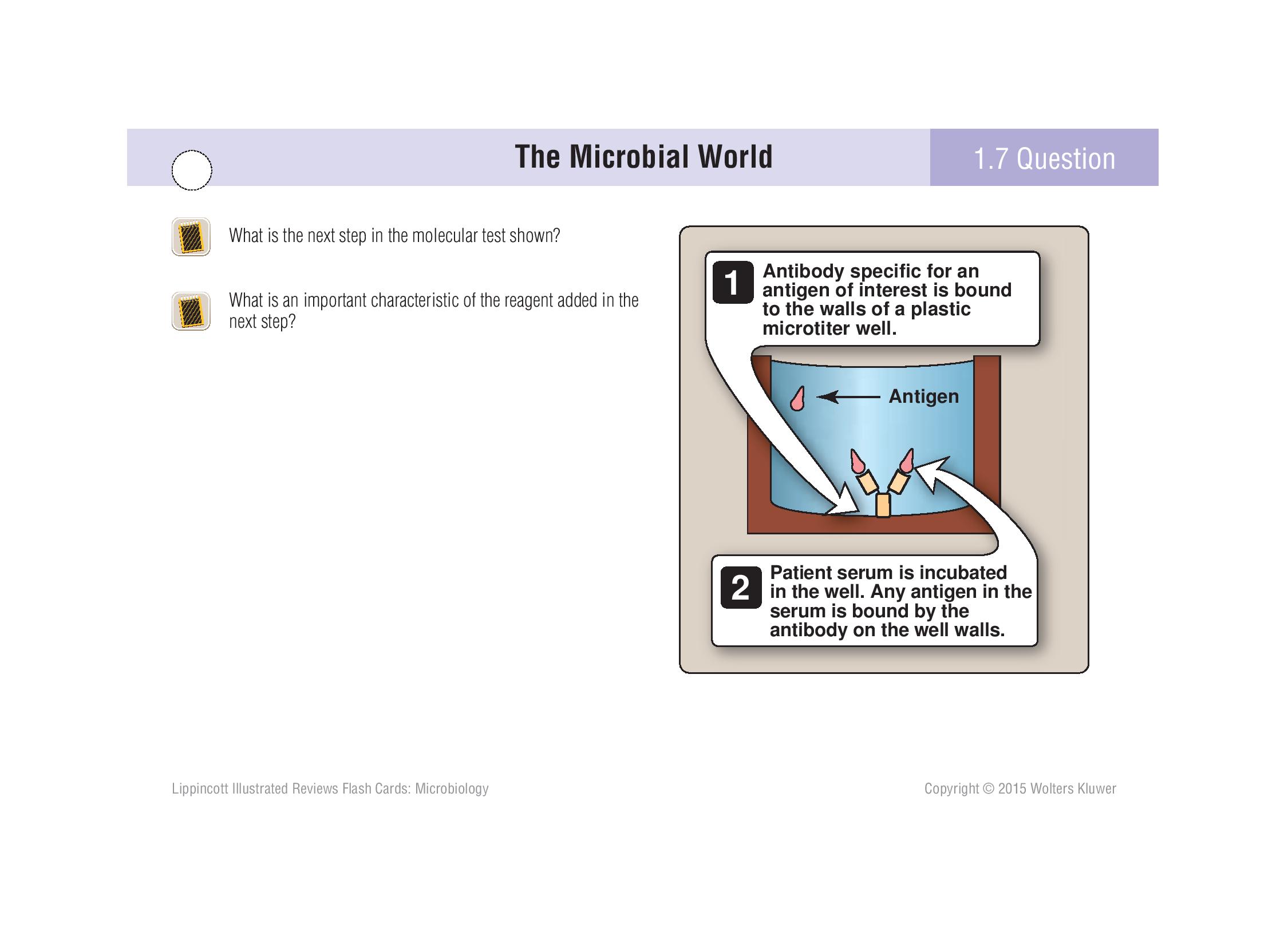 Microbiology Flashcards | Memorang
