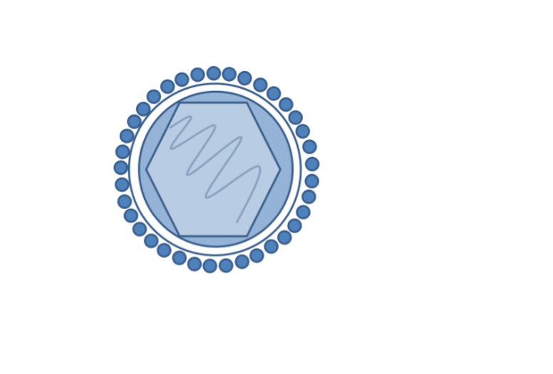 Virology Flashcards | Memorang