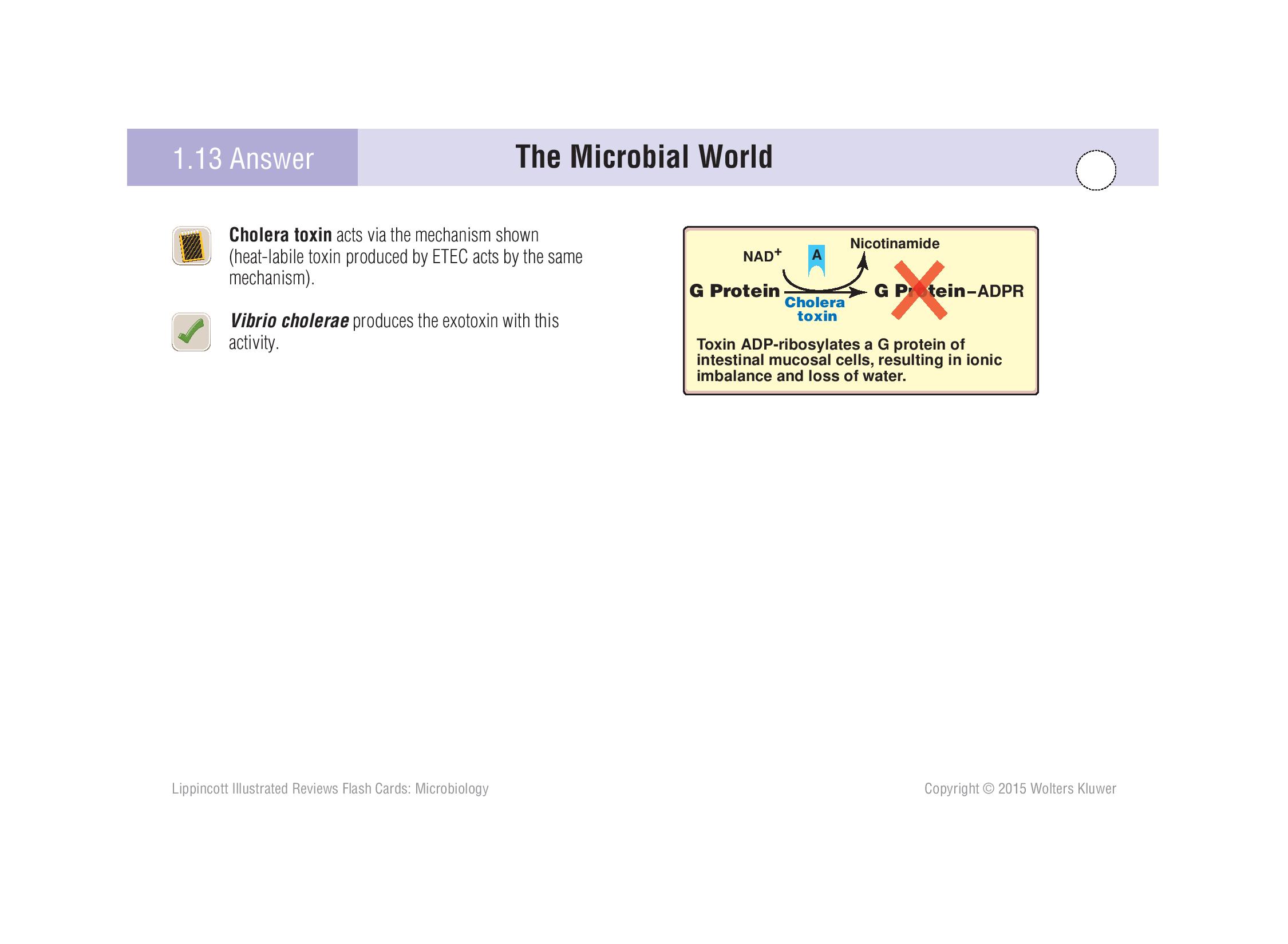 Microbiology Flashcards | Memorang