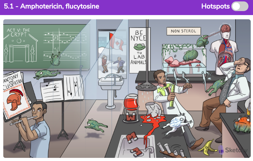 Anti-fungals Flashcards | Memorang