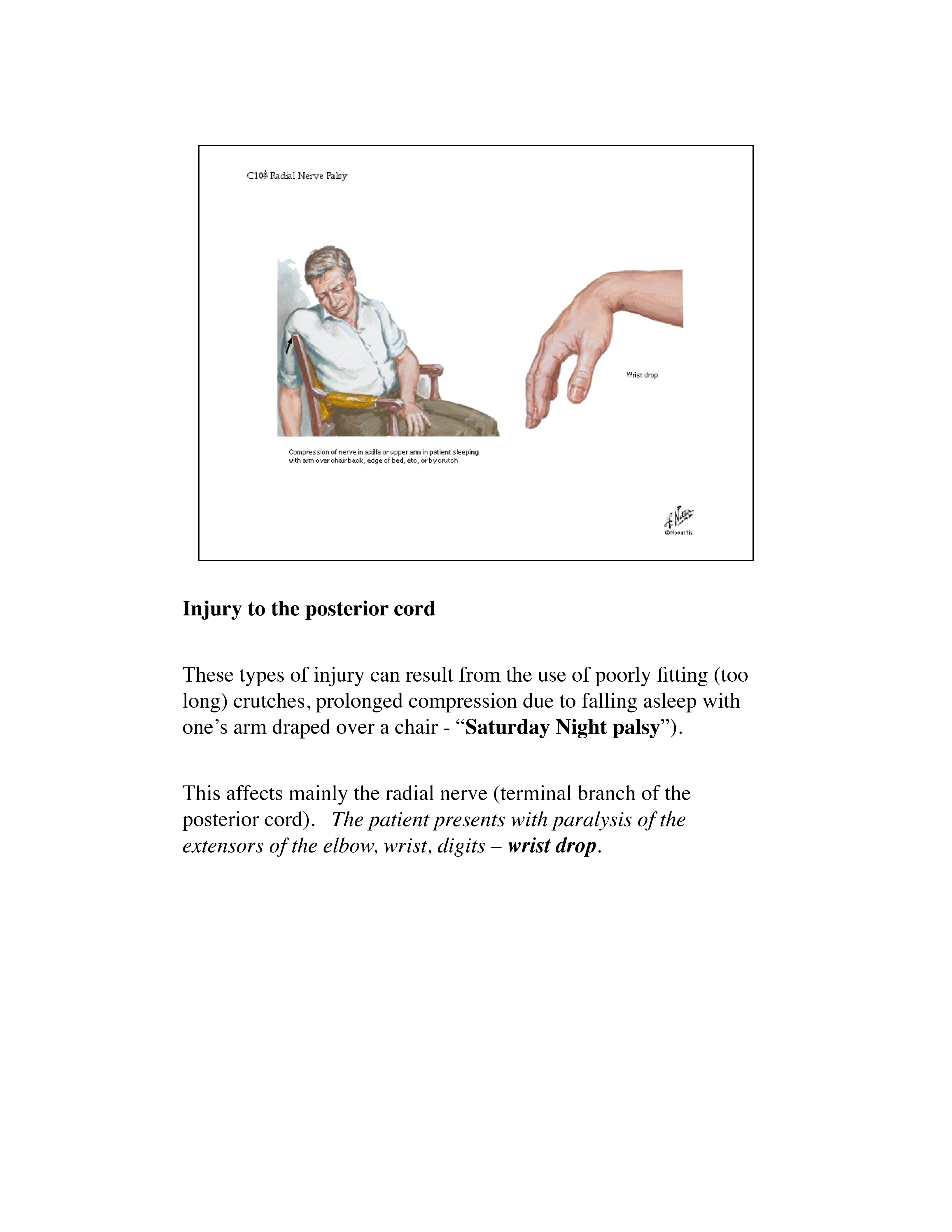 Anatomy Exam 1 Review Flashcards Memorang