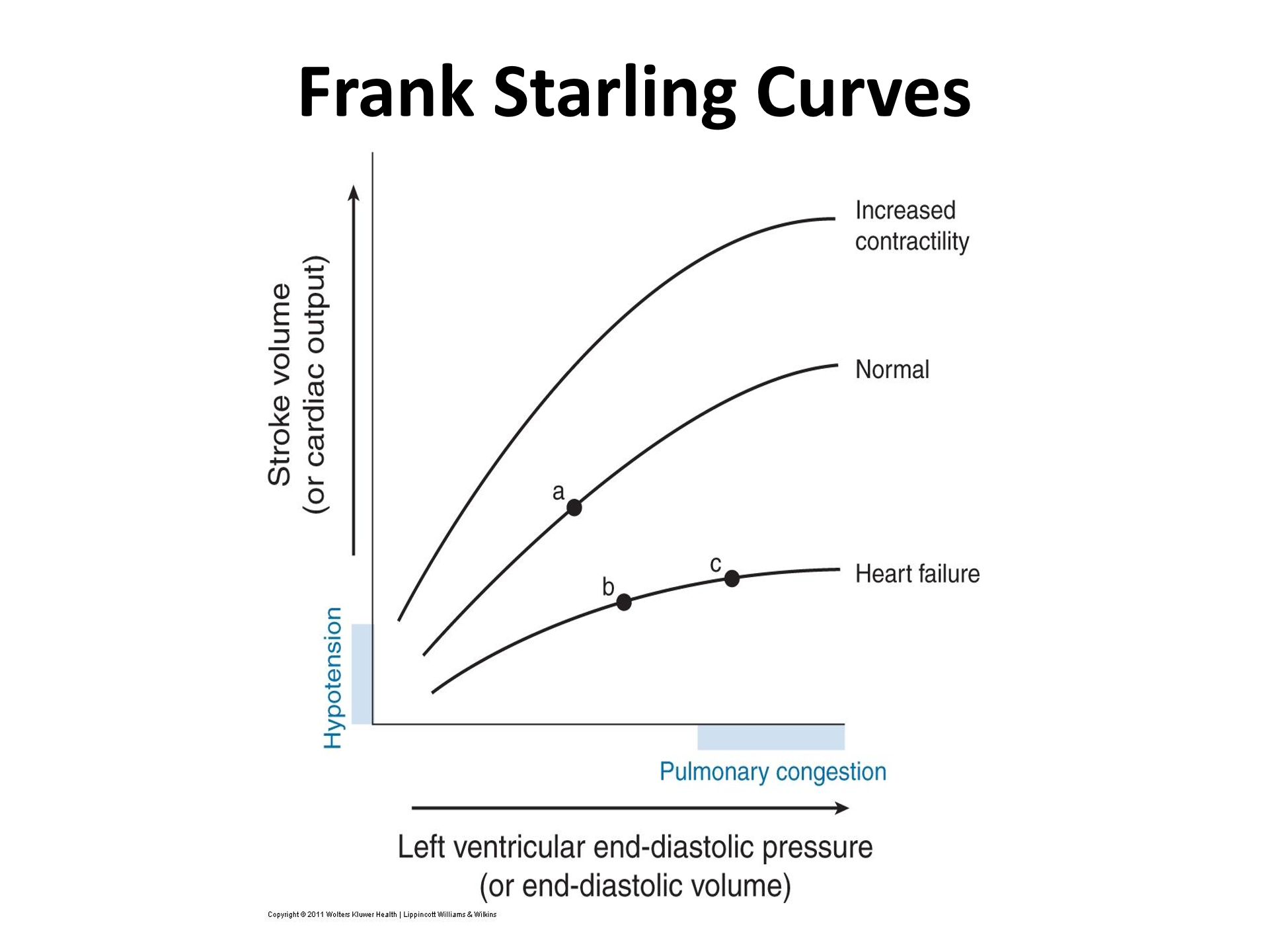 tbl2/Week5 Flashcards | Memorang