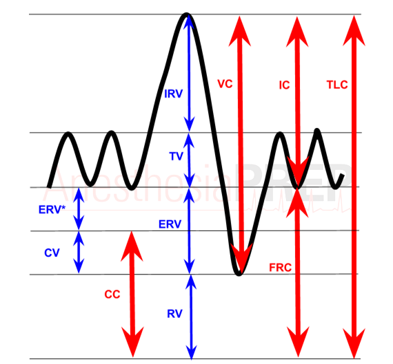 True Learn set 5 Flashcards | Memorang