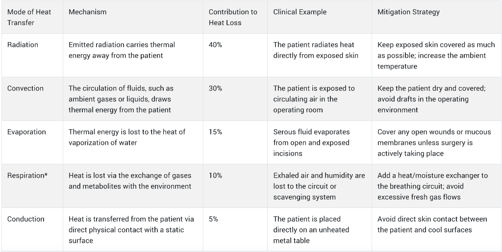 Truelearn ITE 2021.2 Flashcards | Memorang