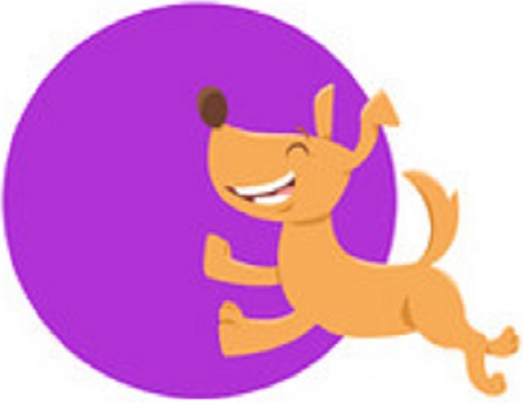 shapes Flashcards | Memorang