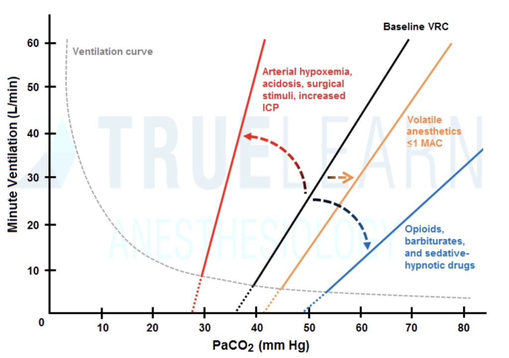 True learn set 6 Flashcards | Memorang