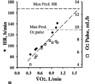 Physiology Flashcards | Memorang
