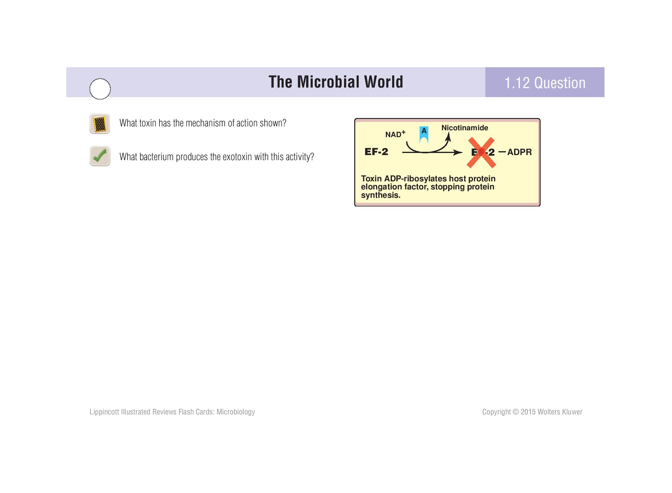Microbiology Flashcards | Memorang
