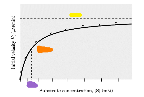 Enzymes Flashcards Memorang