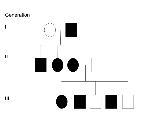 Practice Pedigree Charts Flashcards | Memorang