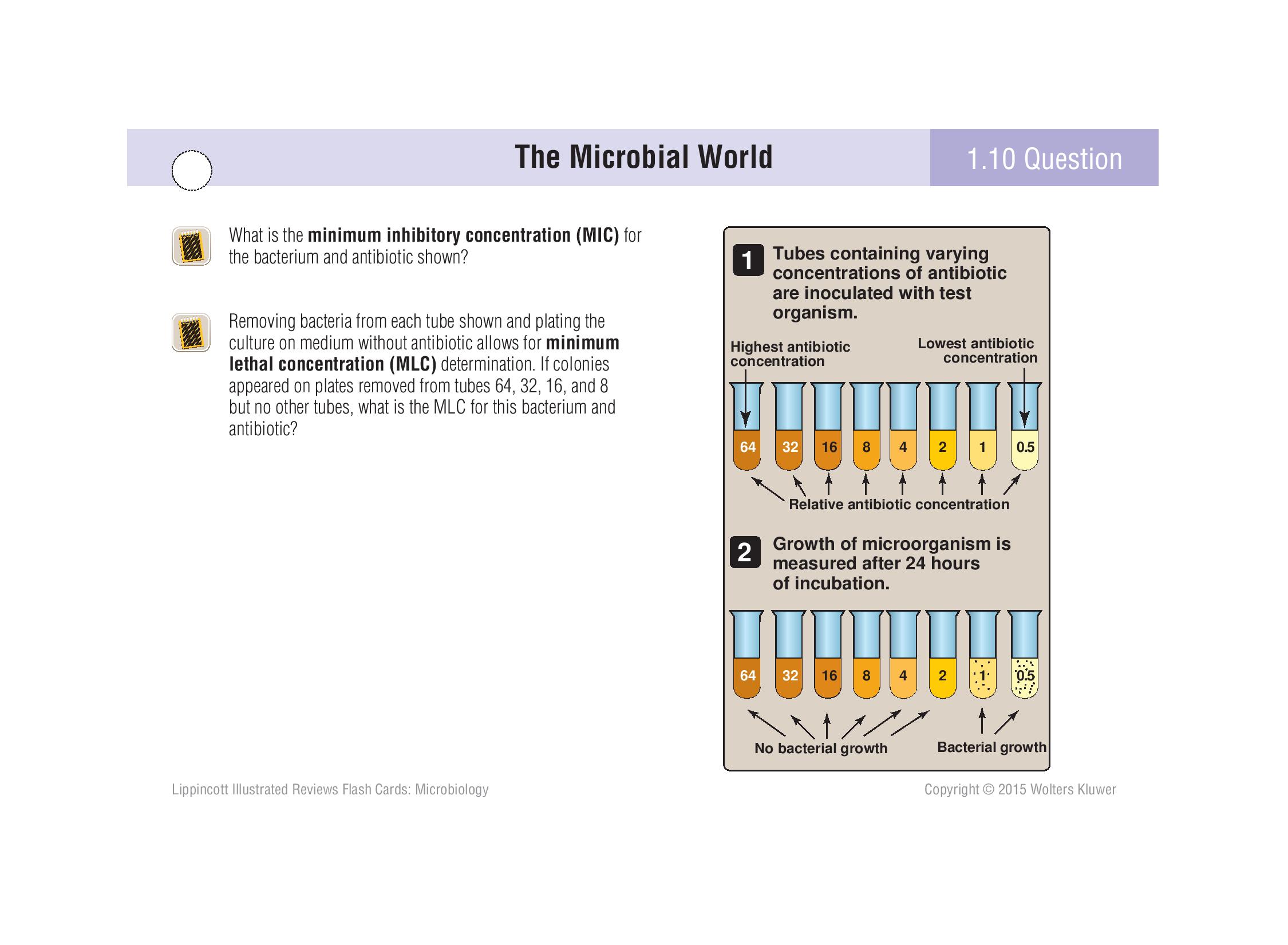 Microbiology Flashcards | Memorang