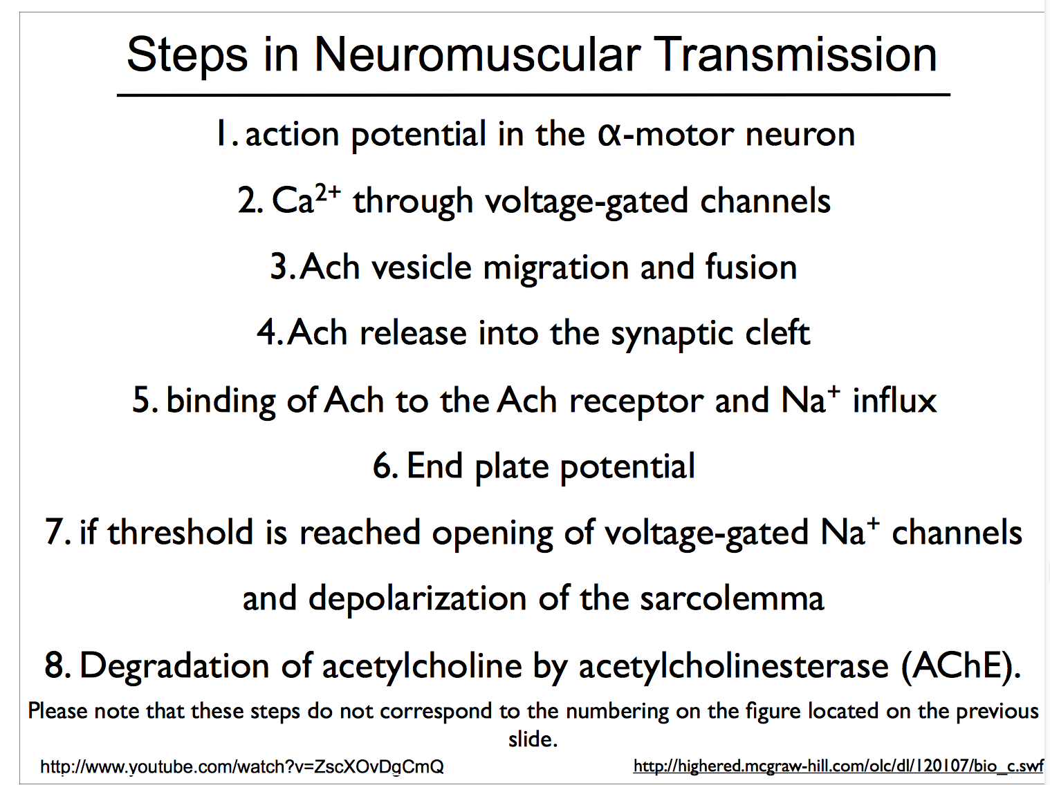 Neuromuscular Junction Steps