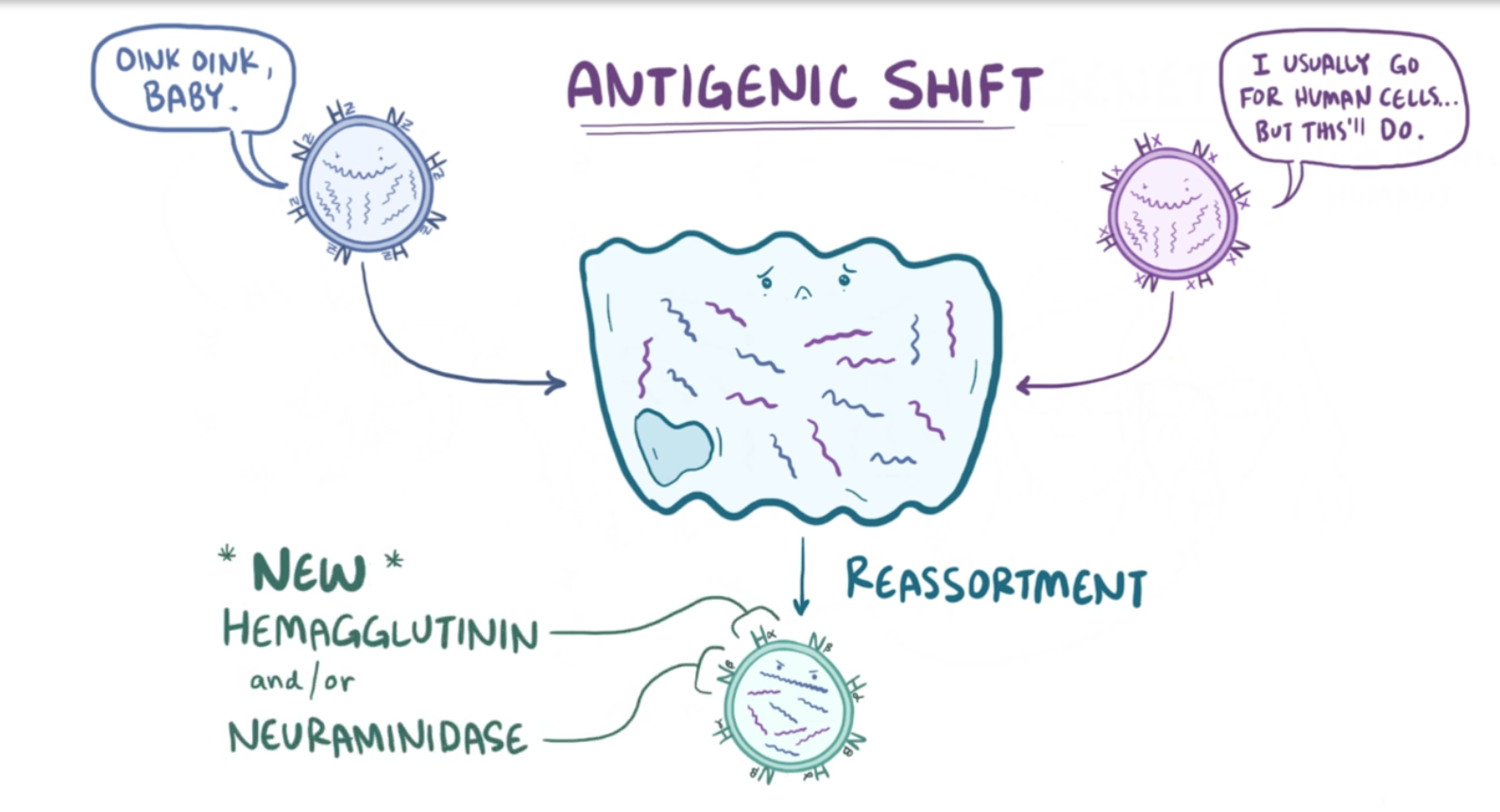 Influenza Flashcards | Memorang