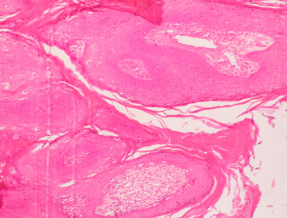 упр 13 Flashcards | Memorang