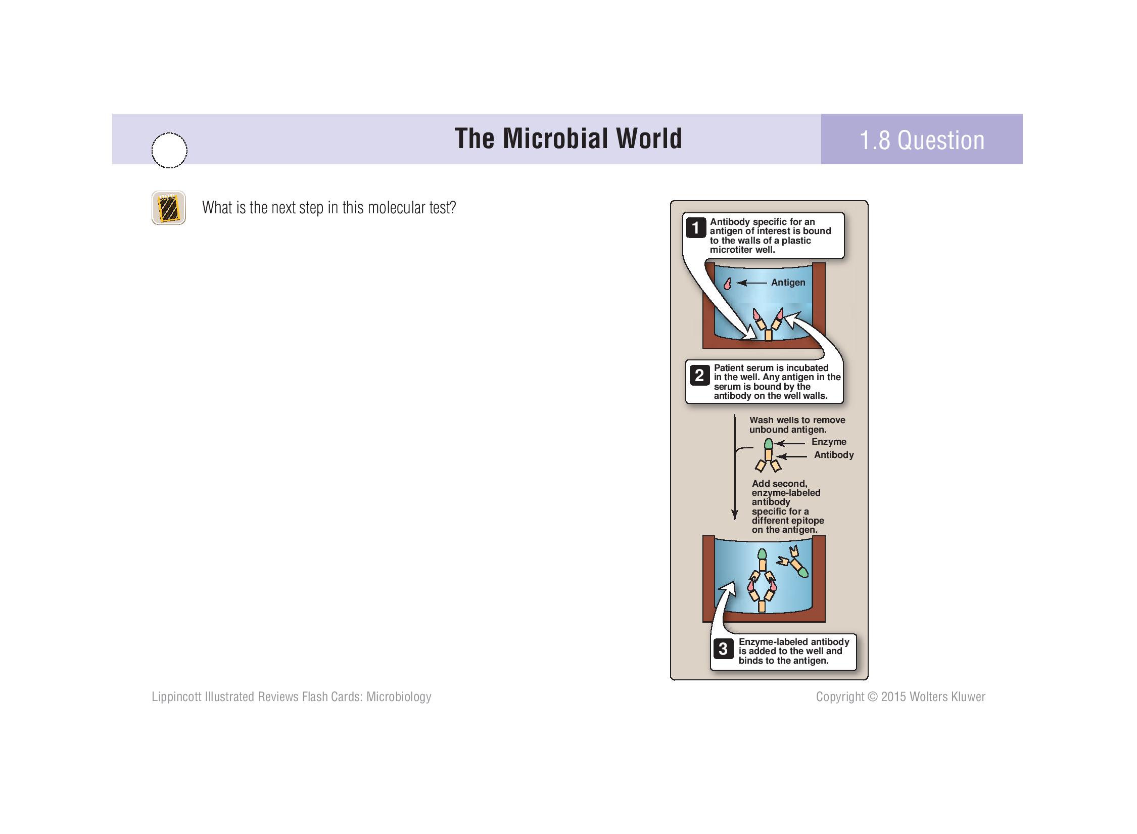 Microbiology Flashcards | Memorang
