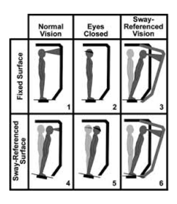 Neuro Scales and Measures Flashcards | Memorang