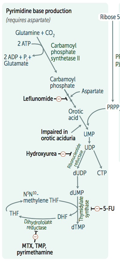 Biochemistry-Molecular Flashcards | Memorang
