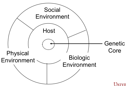Causation Flashcards | Memorang