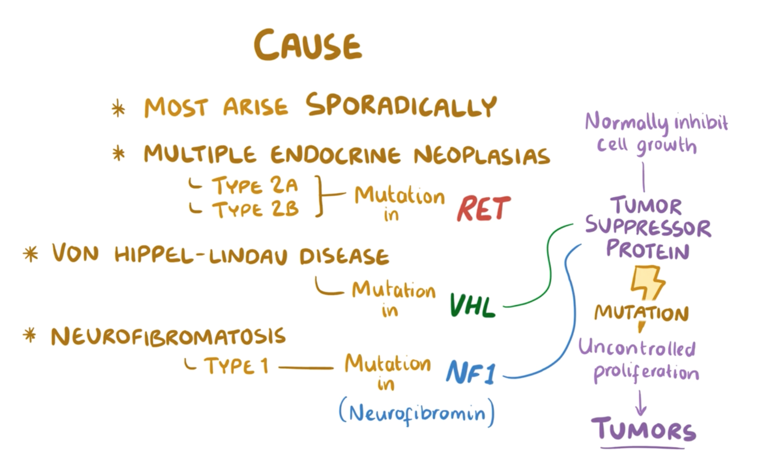 Pheochromocytoma Flashcards | Memorang