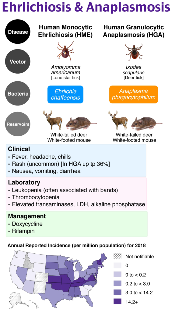 EM Stack 3 Flashcards | Memorang