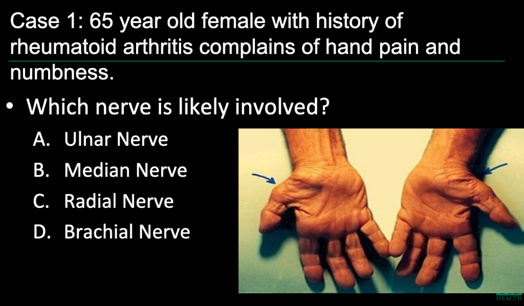 C7T3L10 MSK Imaging Flashcards | Memorang