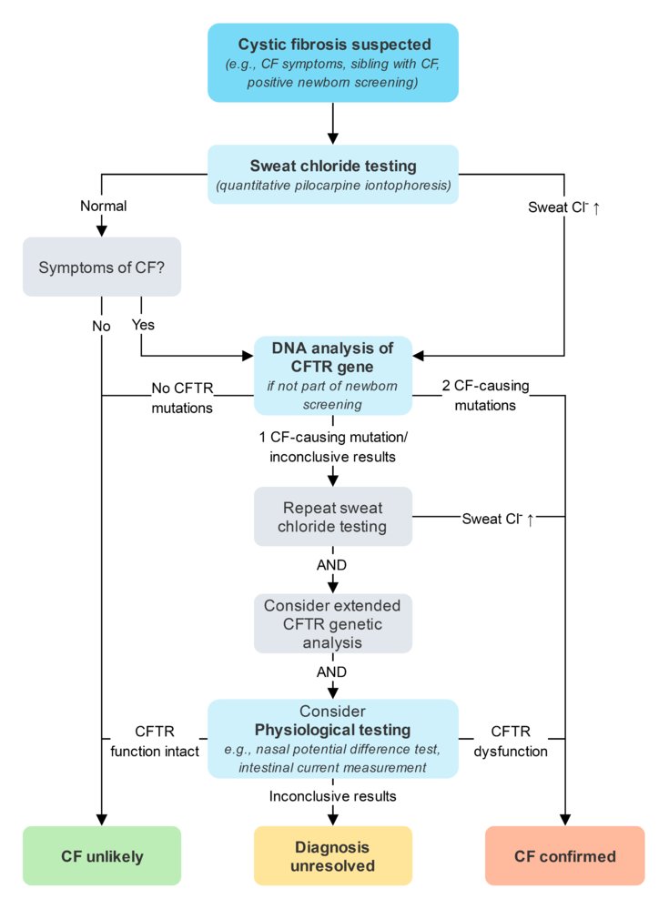 SMLES Flashcards | Memorang