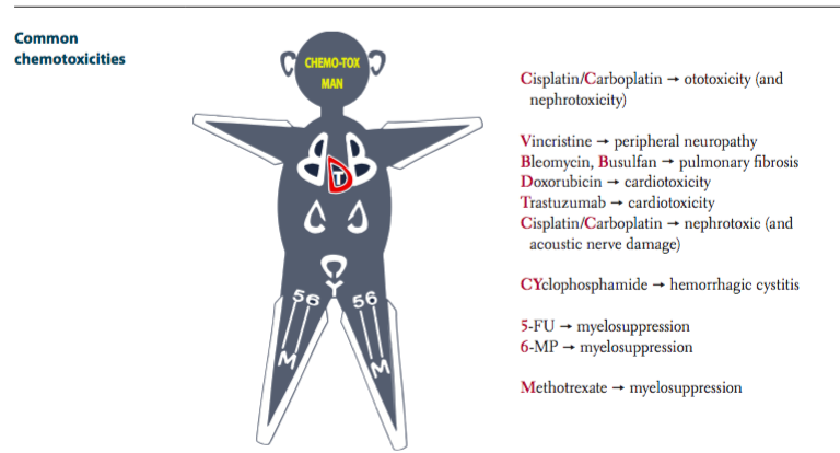 pharm Flashcards | Memorang