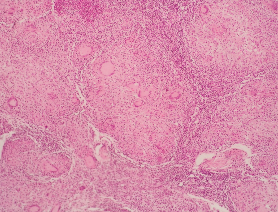 упр 10 Flashcards | Memorang