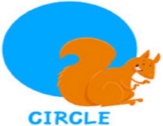 shapes Flashcards | Memorang