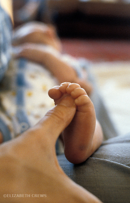 Plantar Grasp Reflex