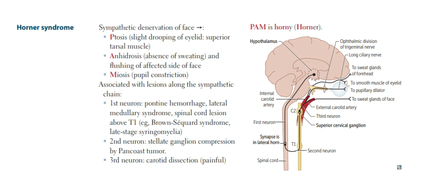 5.13 Flashcards | Memorang