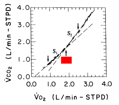 Physiology Flashcards Memorang