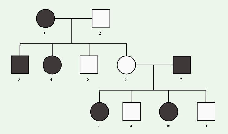 Practice Pedigree Charts Flashcards | Memorang