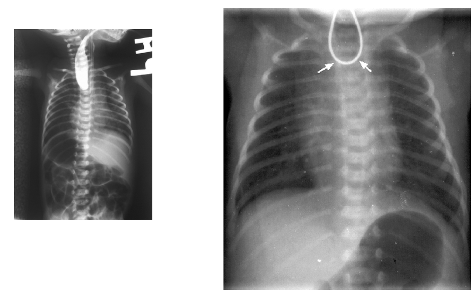 Habiba Flashcards | Memorang