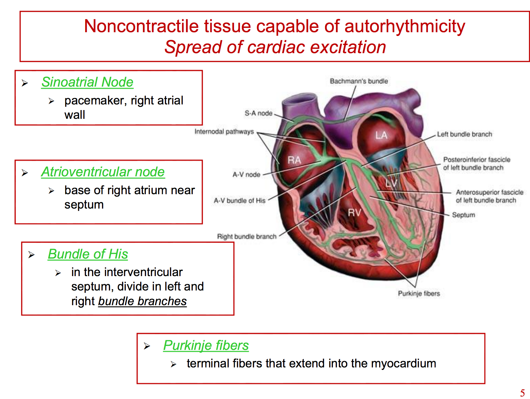 Internodal Pathways