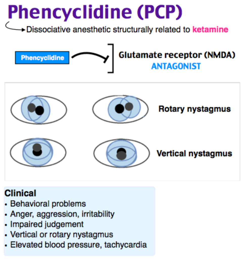 EM Stack 3 Flashcards | Memorang