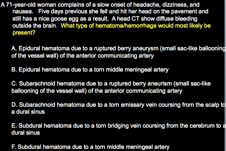 Anatomy Flashcards Memorang