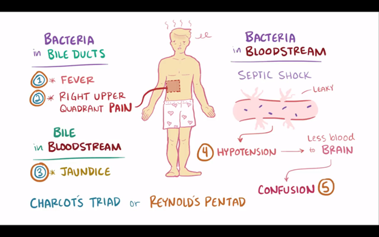 2-16-19 Flashcards | Memorang