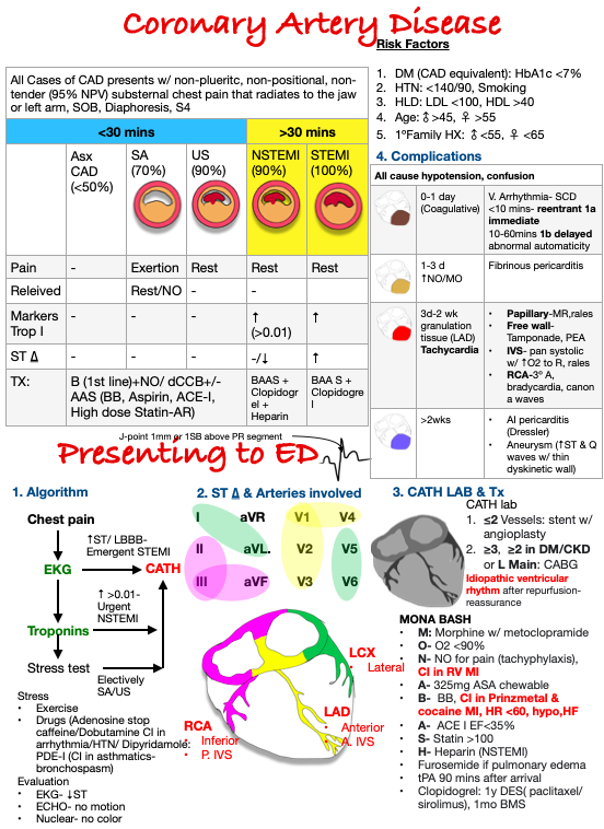 cardiology Flashcards | Memorang