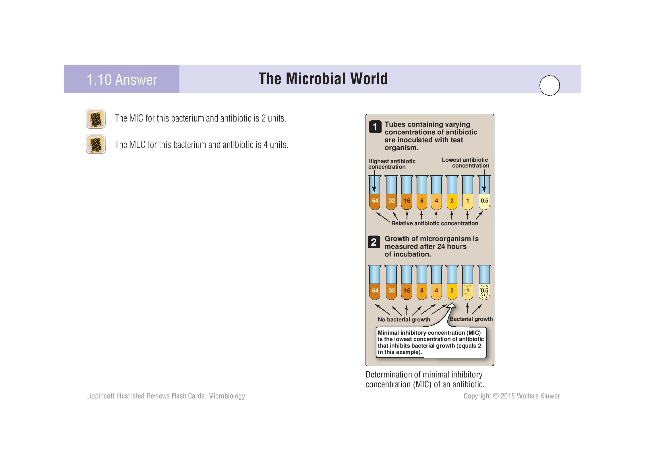 Medical Microbiology Flashcards at Sharon Heise blog
