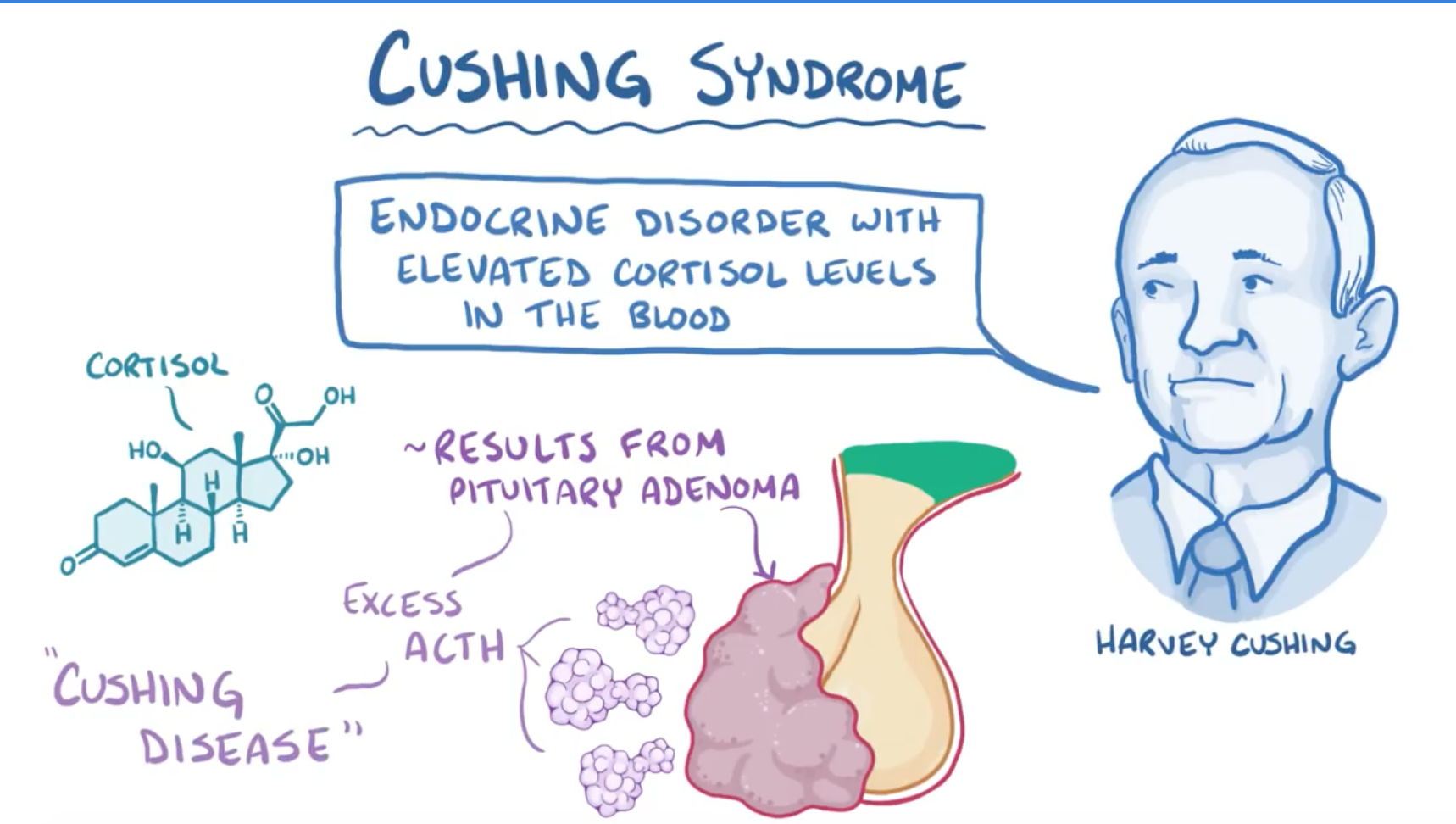 Cushings Flashcards | Memorang