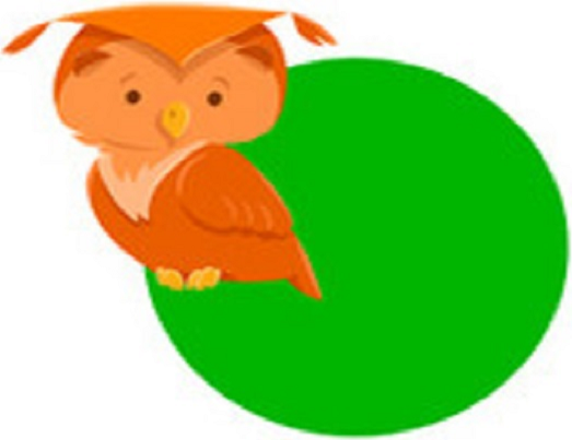 shapes Flashcards | Memorang