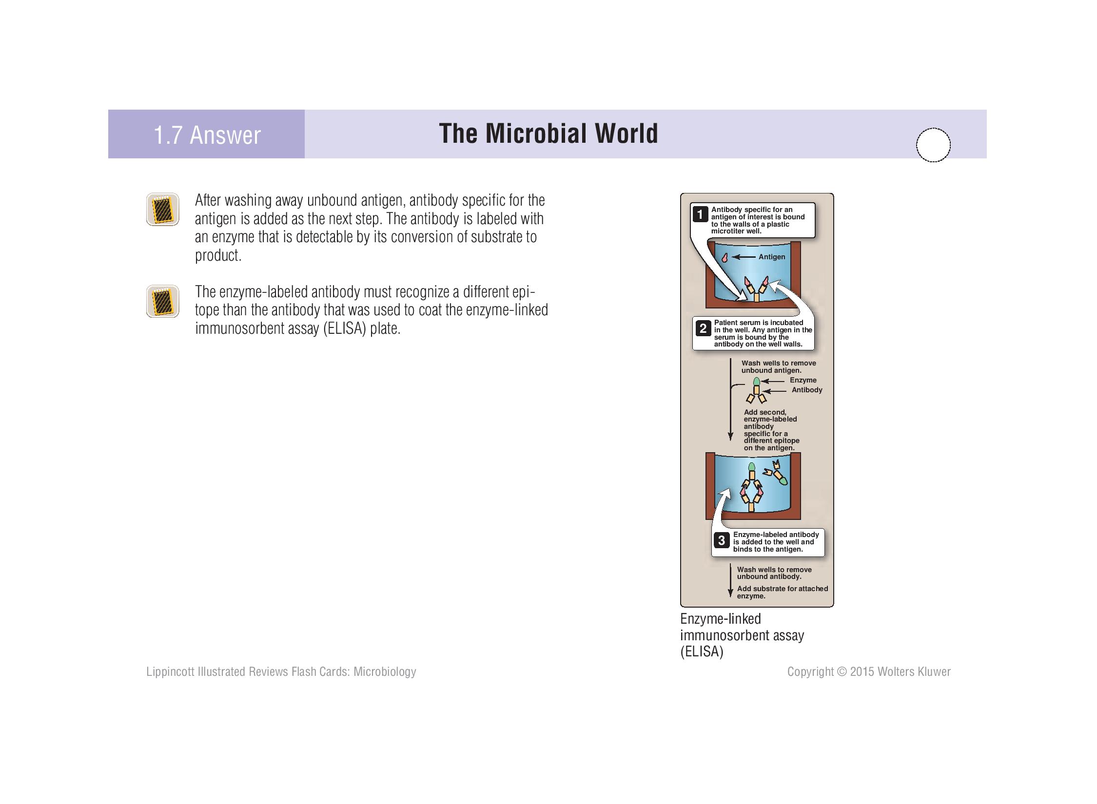 Microbiology Flashcards | Memorang