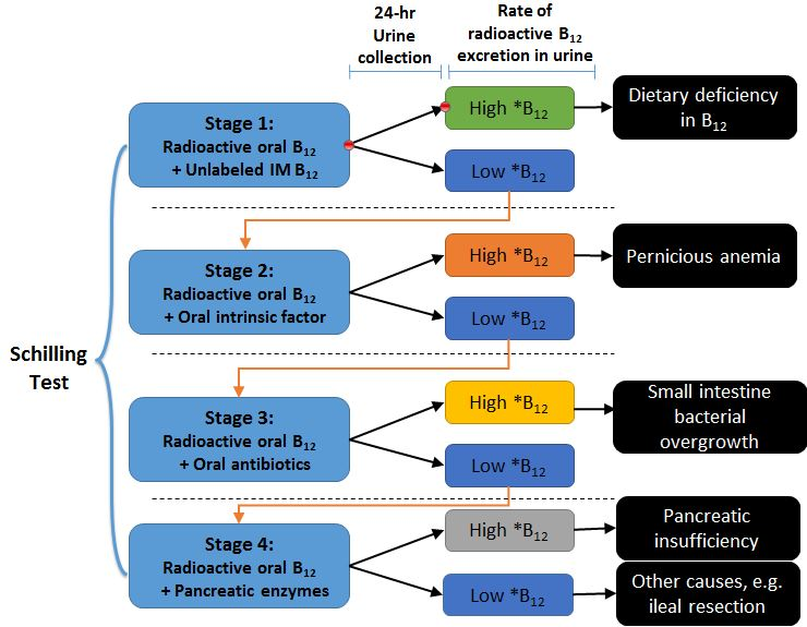 USMLERx Flashcards | Memorang