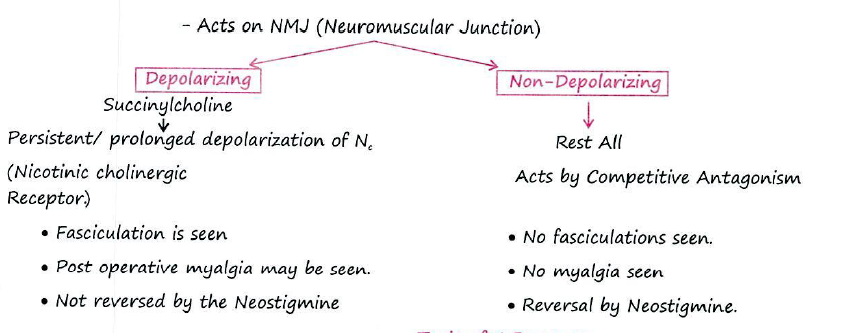 SMR Flashcards | Memorang